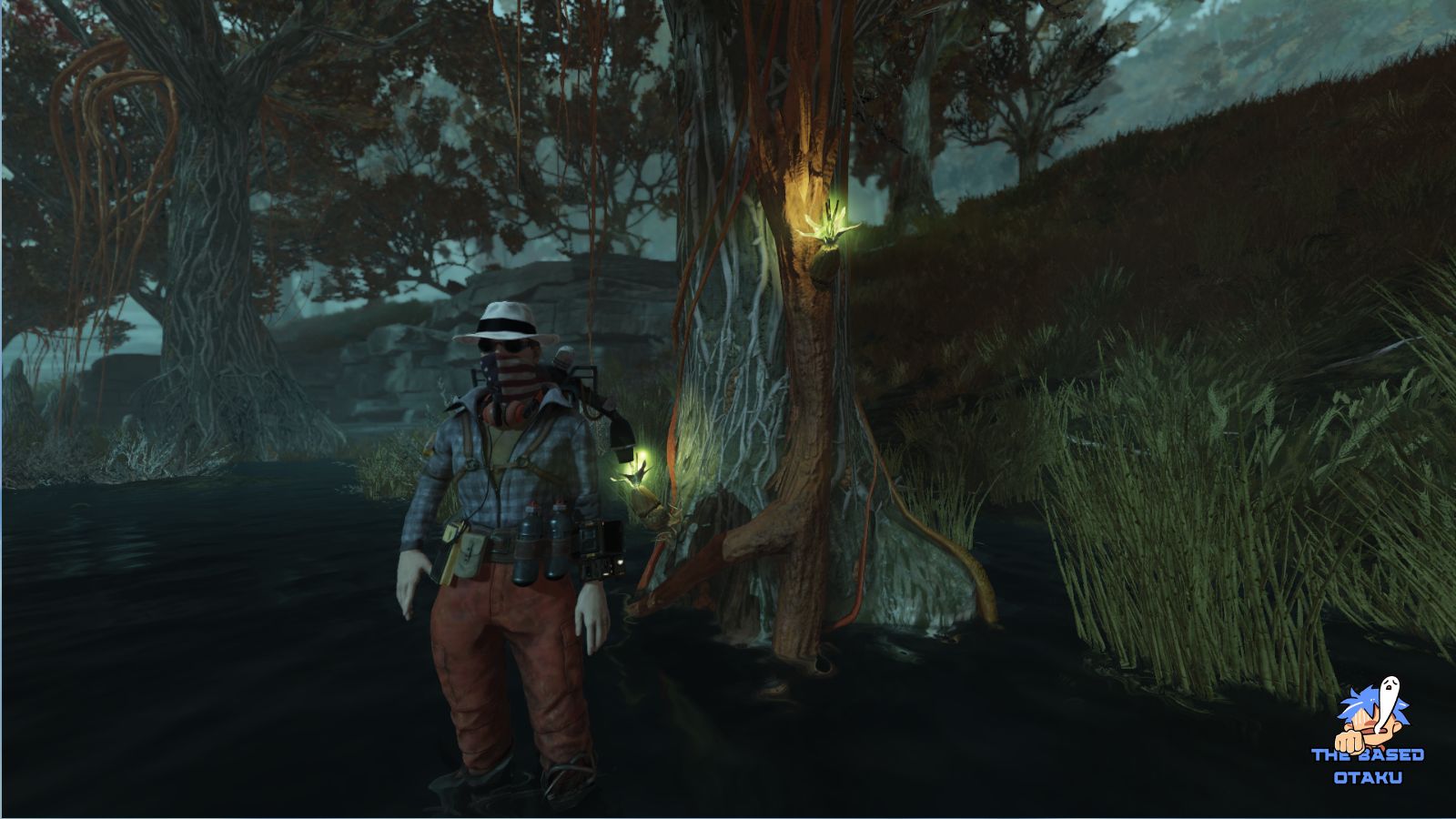 Fallout 76 Swamp Plant location and how to get Swamp Tofu recipe | The ...